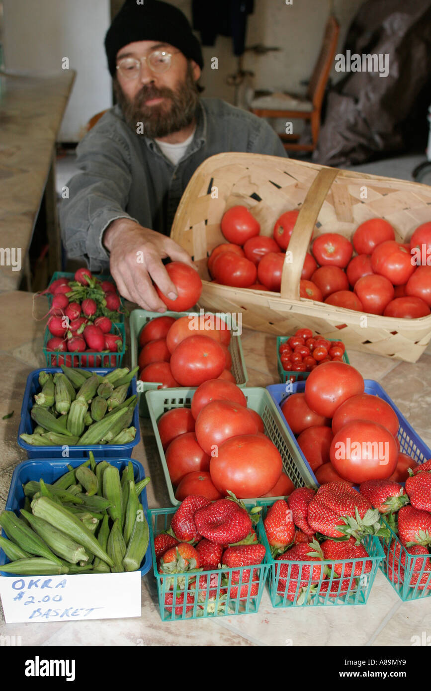 Gainesville Florida,Hill Top Produce Stand,adult adults man men male ...
