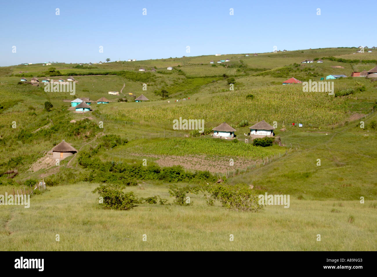 View of the landscape in the Eastern Cape Province of South Africa ...