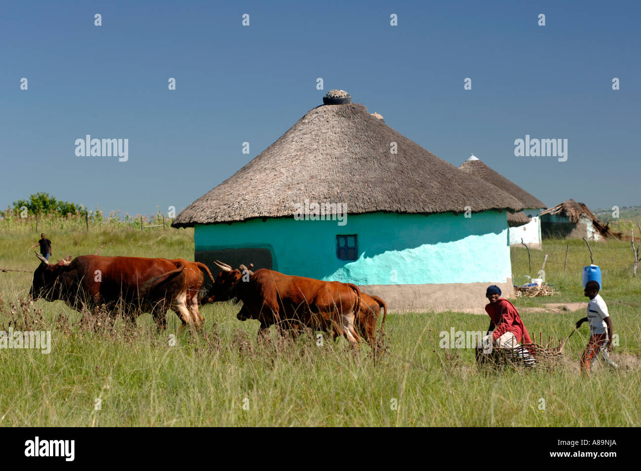 Xhosa Huts In A Region Of South Africa39s Eastern Cape