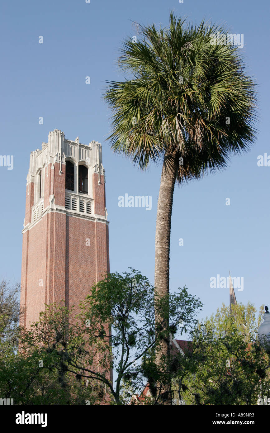 University of florida gainesville tower hi-res stock photography and ...