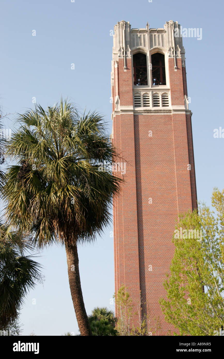 Gainesville Florida,University of Florida,Century Tower,sabal palm tree ...