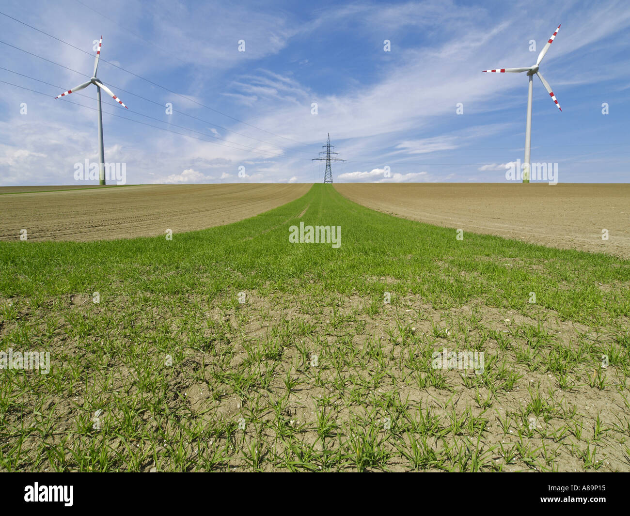 field with wind turbines and power pole Stock Photo - Alamy
