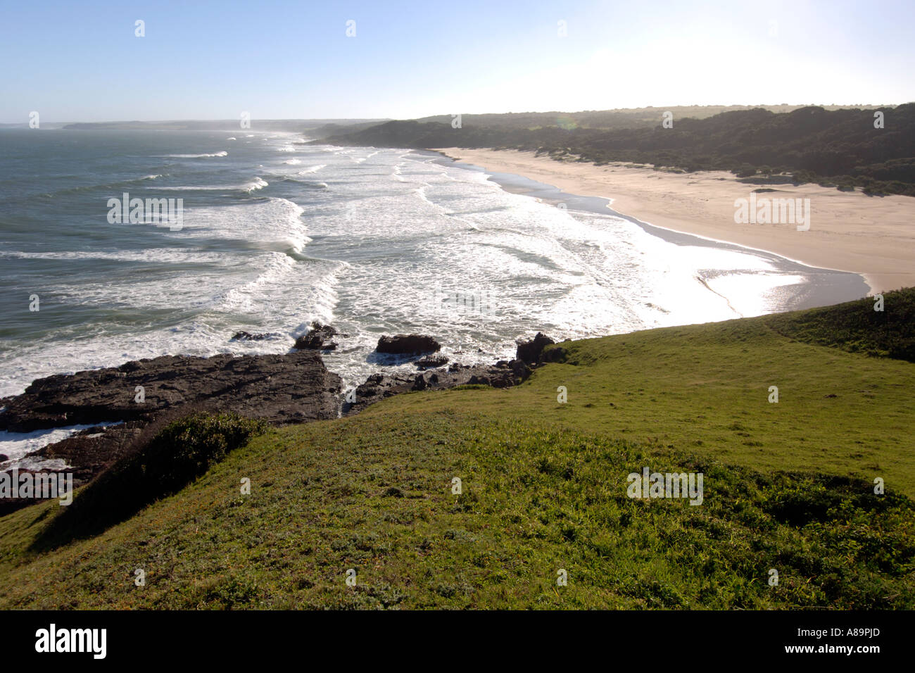 Mazeppa hi-res stock photography and images - Alamy