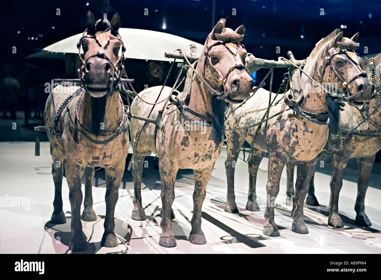 CHINA XIAN Terracotta horses and chariot on display in museum of the ...