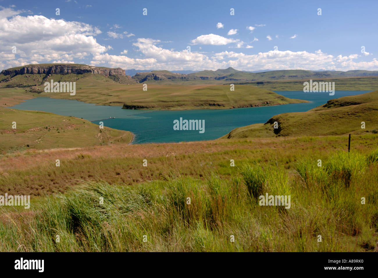 The Sterkfontein/Driekloof dam on the border of the Free State and ...