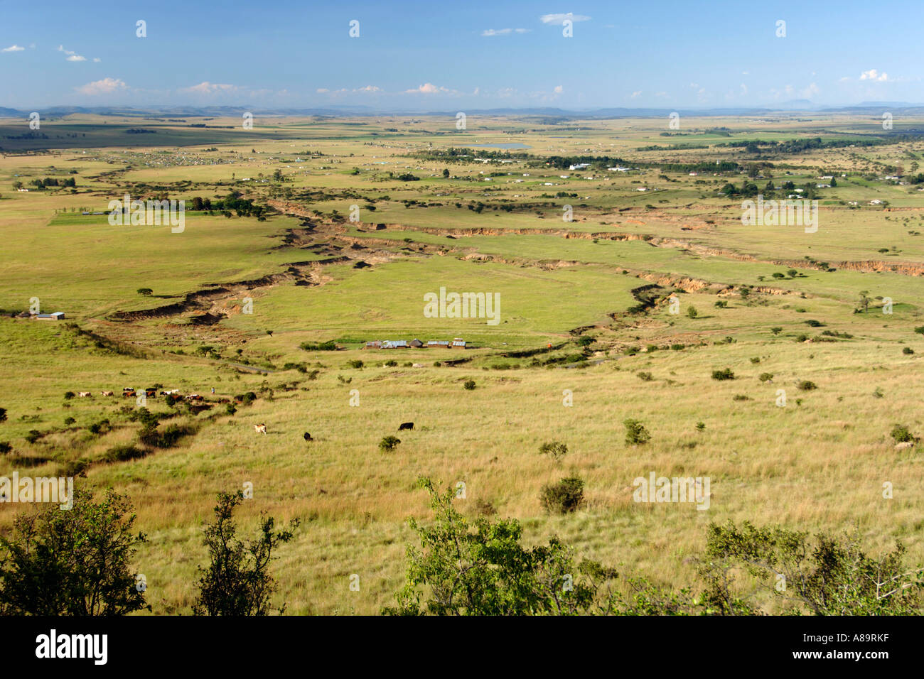 What Causes Soil Erosion In South Africa at Jorja James blog