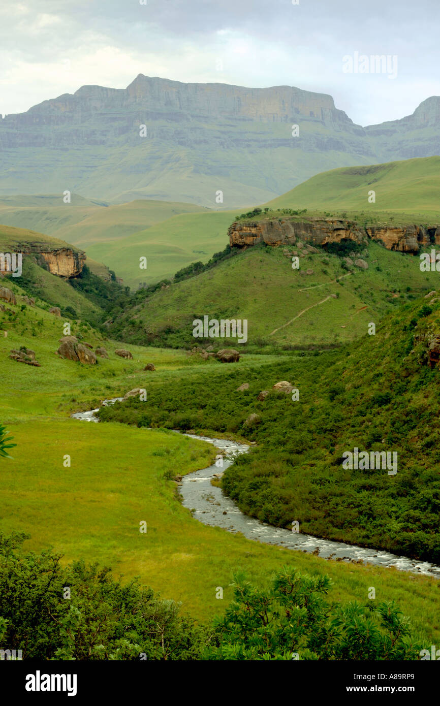 A dawn view of Giant's Castle and the Bushmans River in the Drakensberg ...