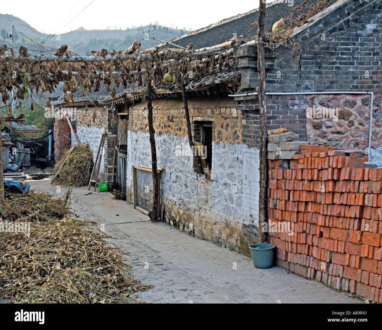 Communal farming china hi-res stock photography and images - Alamy