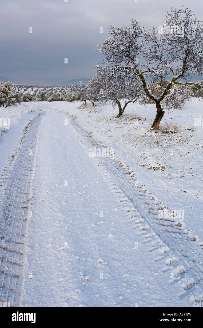 The winter and its facts Stock Photo - Alamy