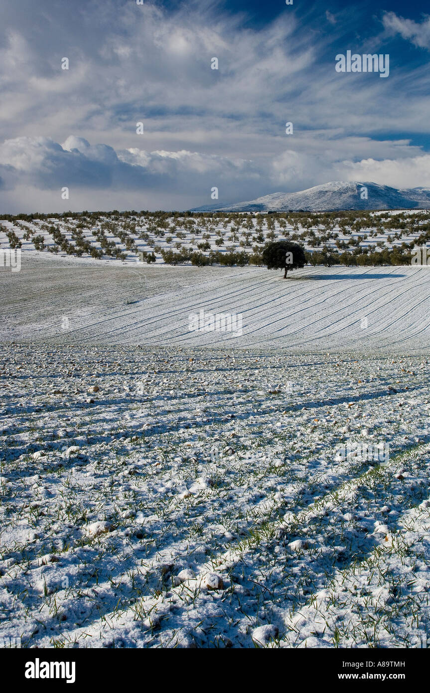 Fields full of snow in the west of Granada Stock Photo - Alamy