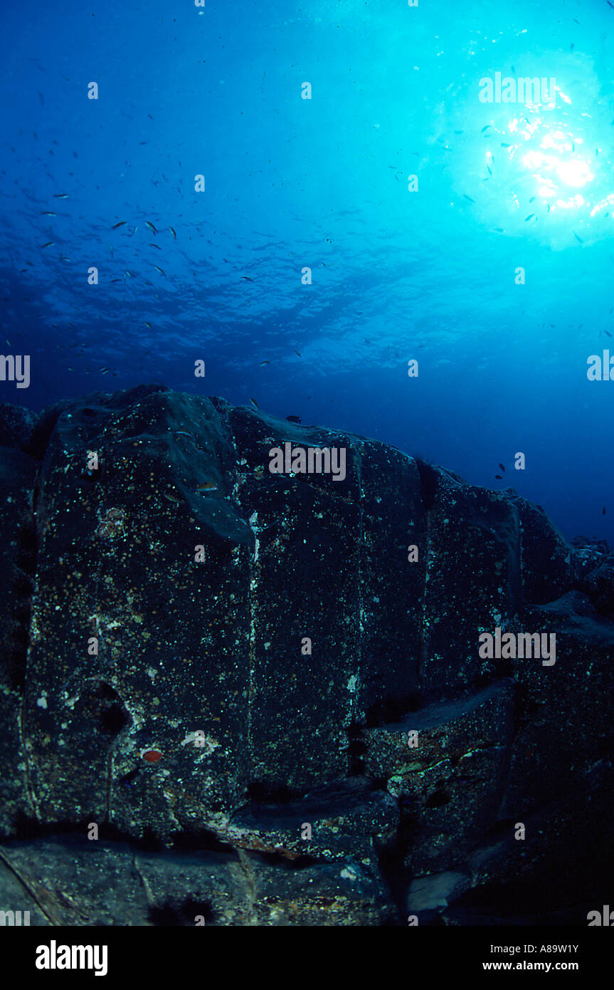 Basaltic formation in the canarian sea grounds Stock Photo - Alamy