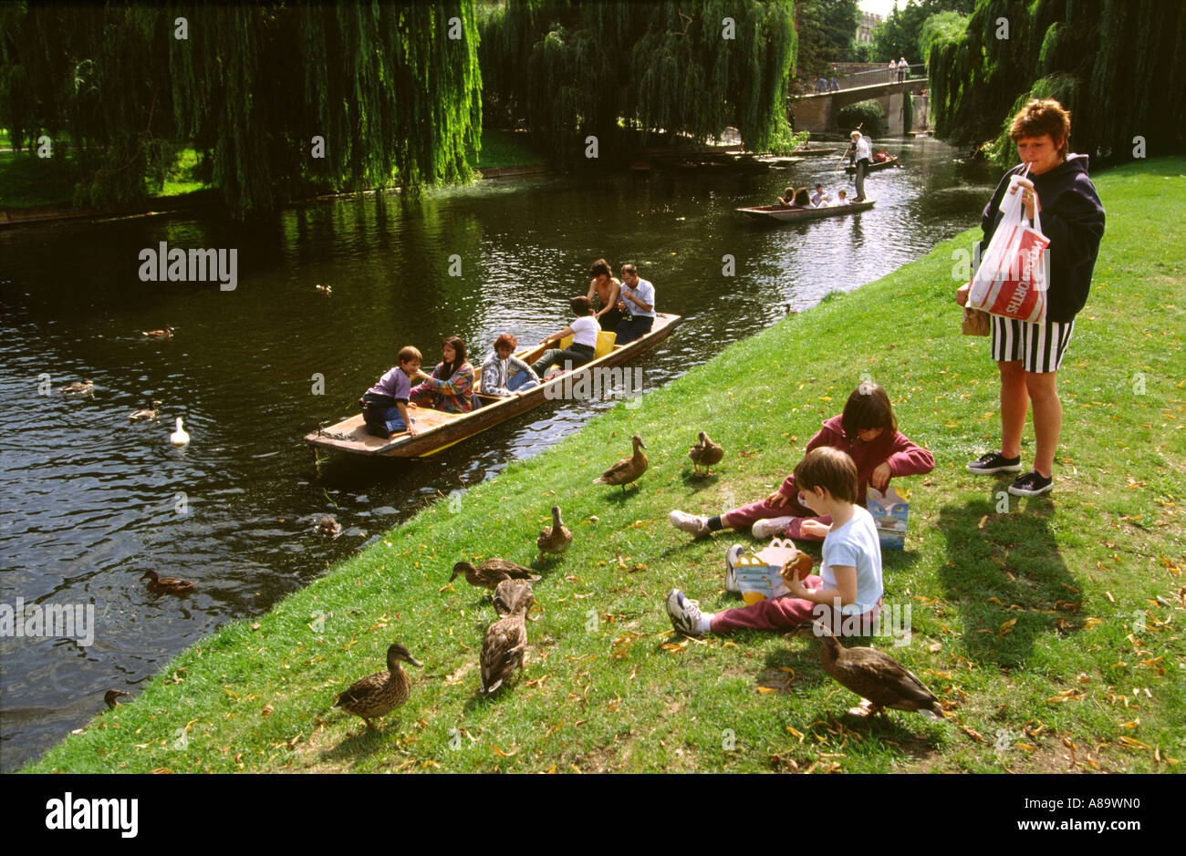 Cambridge visitors feeding ducks on the River Cam Stock Photo - Alamy