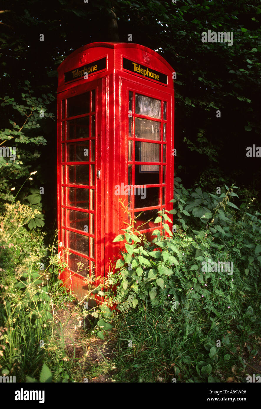 Berkshire Binfield Heath overgrown K6 Phone Box Stock Photo - Alamy