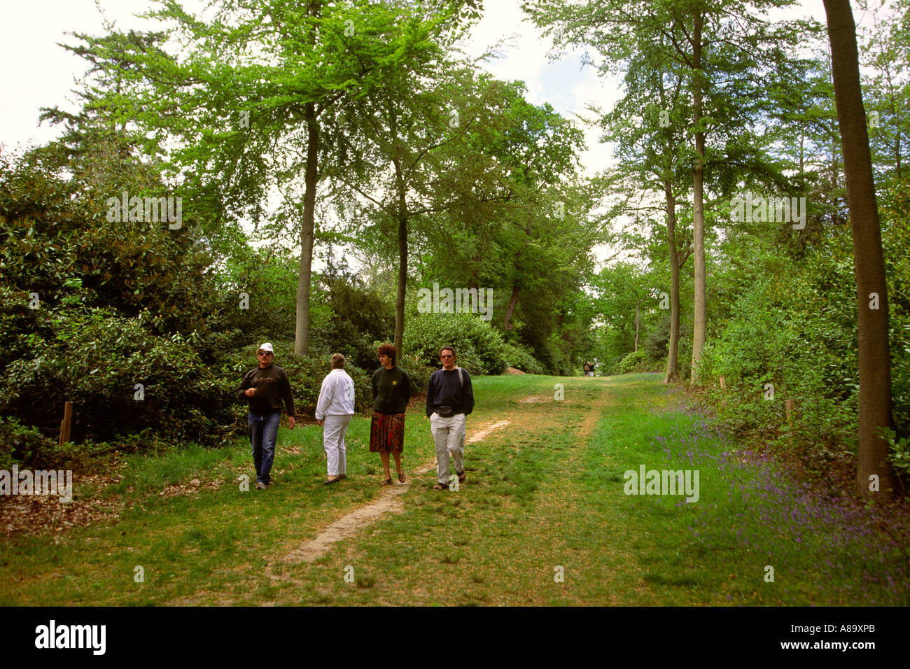 Berkshire Cliveden National Trust people enjoying woodland walk Stock ...
