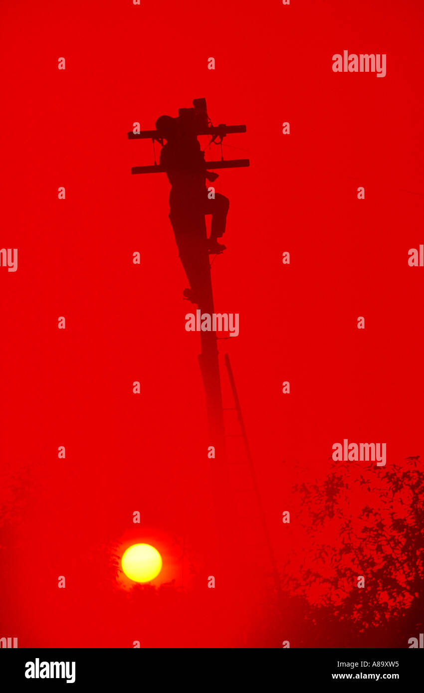 Telephone repairman climbing telephone pole hi-res stock photography ...