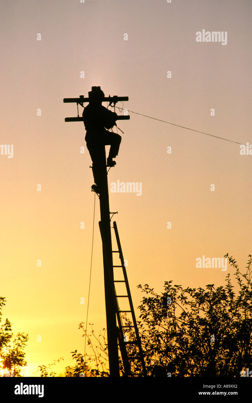 Telephone repairman climbing telephone pole hi-res stock photography ...