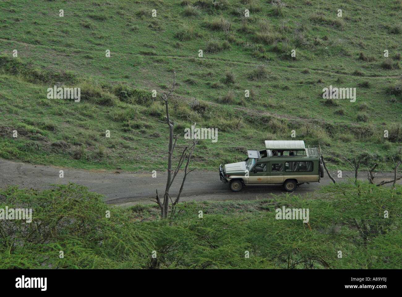 Tourism and Tourists in Kenya Path between trees Stock Photo - Alamy