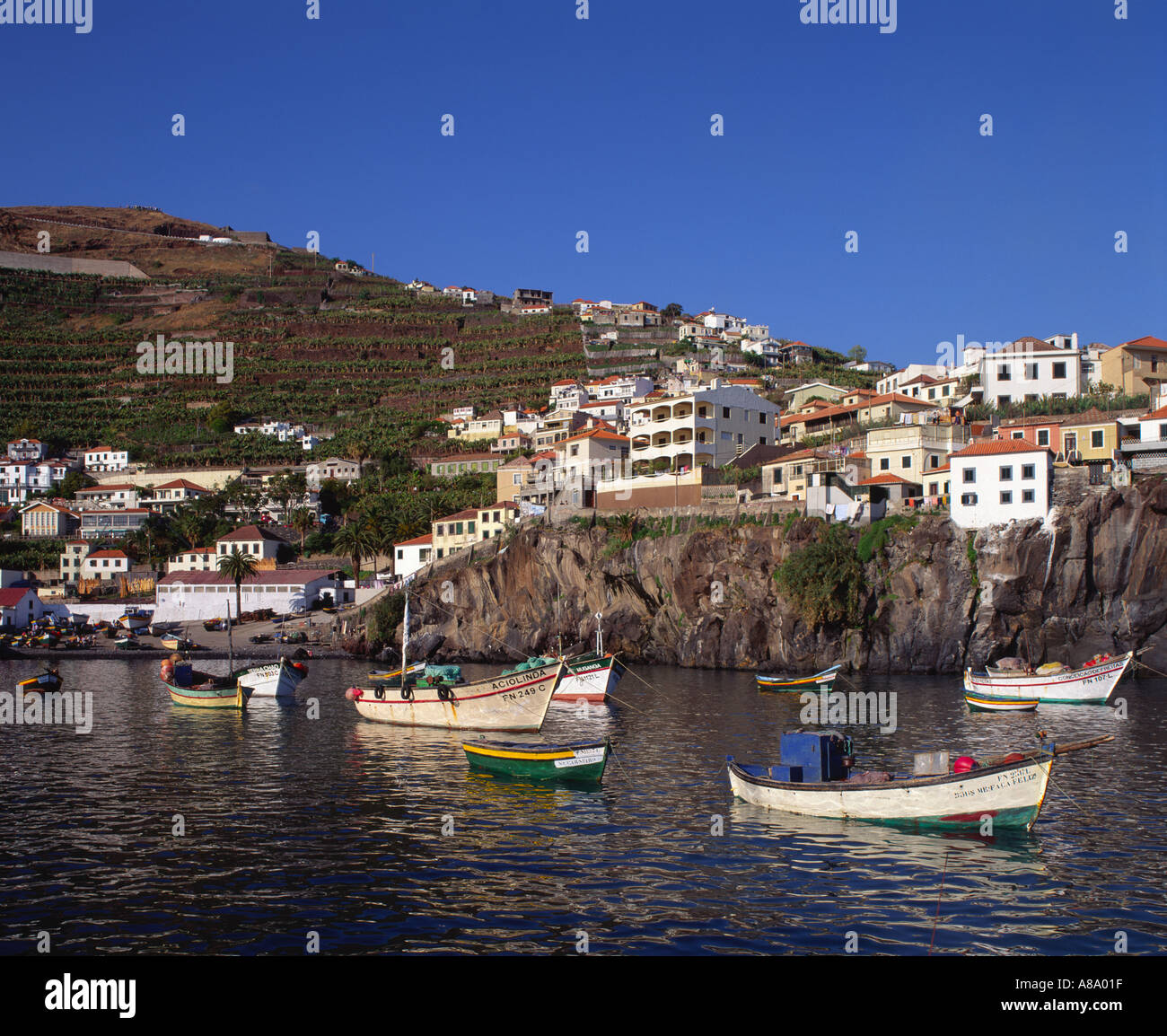 Lobos madeira portugal hi-res stock photography and images - Alamy