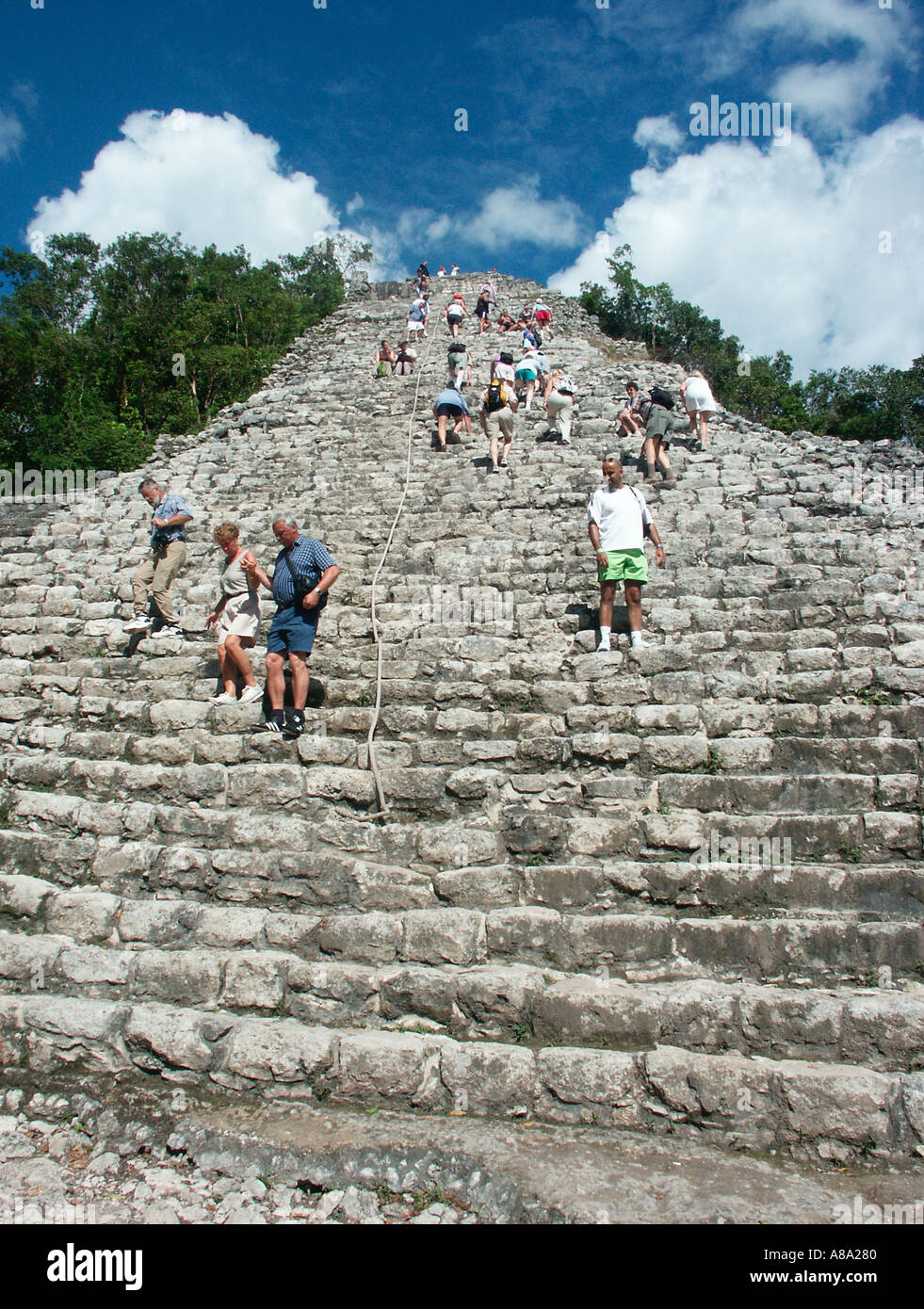 Pyramid of Coba, Mayan Ruins at Coba, Mexico Stock Photo - Alamy
