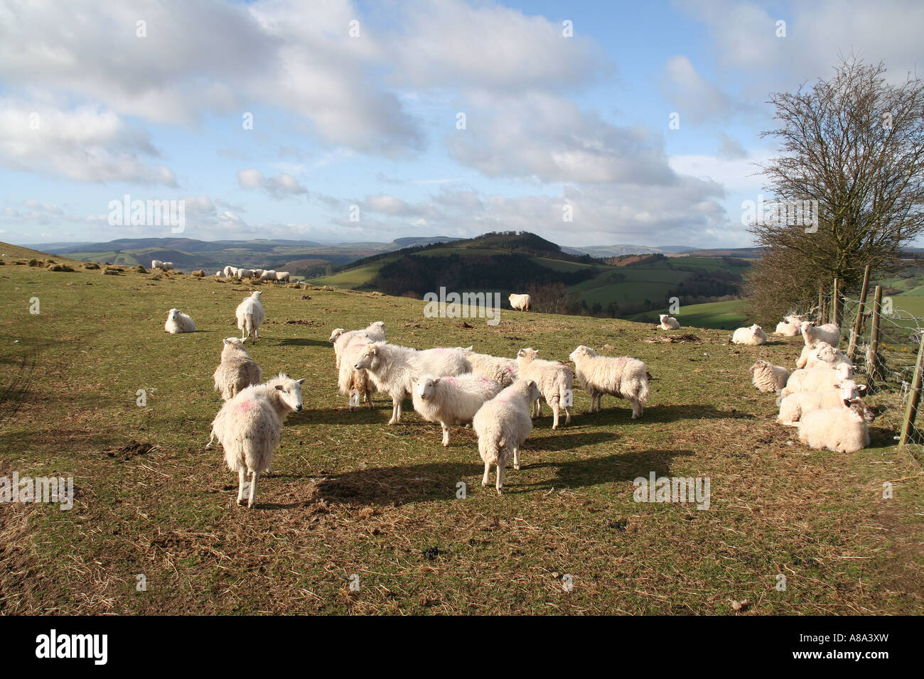 Hopesay shropshire hi-res stock photography and images - Alamy