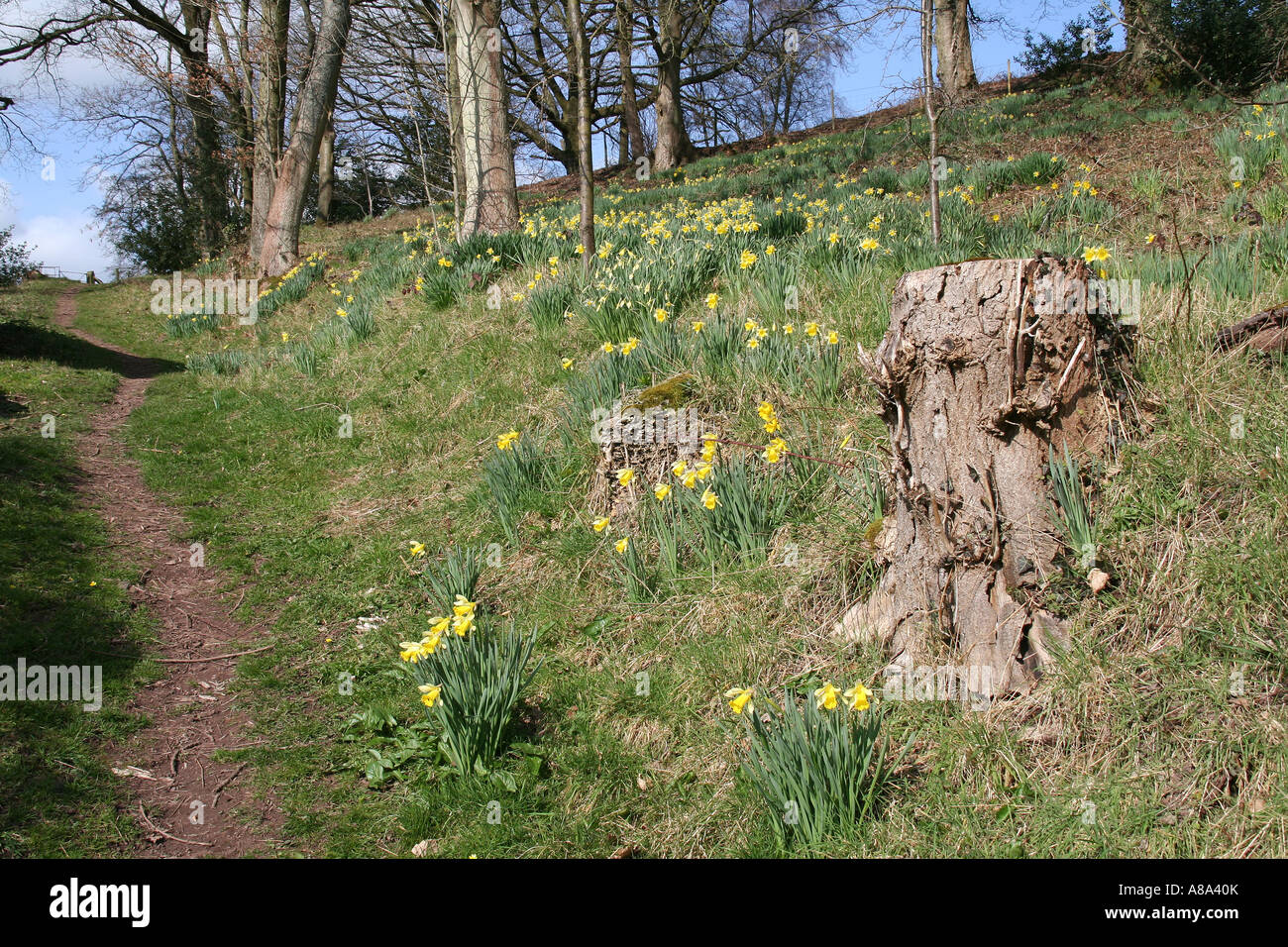 Shropshire hopesay hill hi-res stock photography and images - Alamy