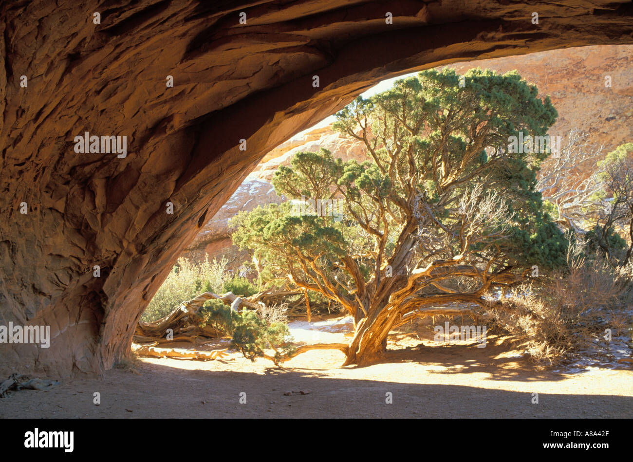 Juniper cave hi-res stock photography and images - Alamy
