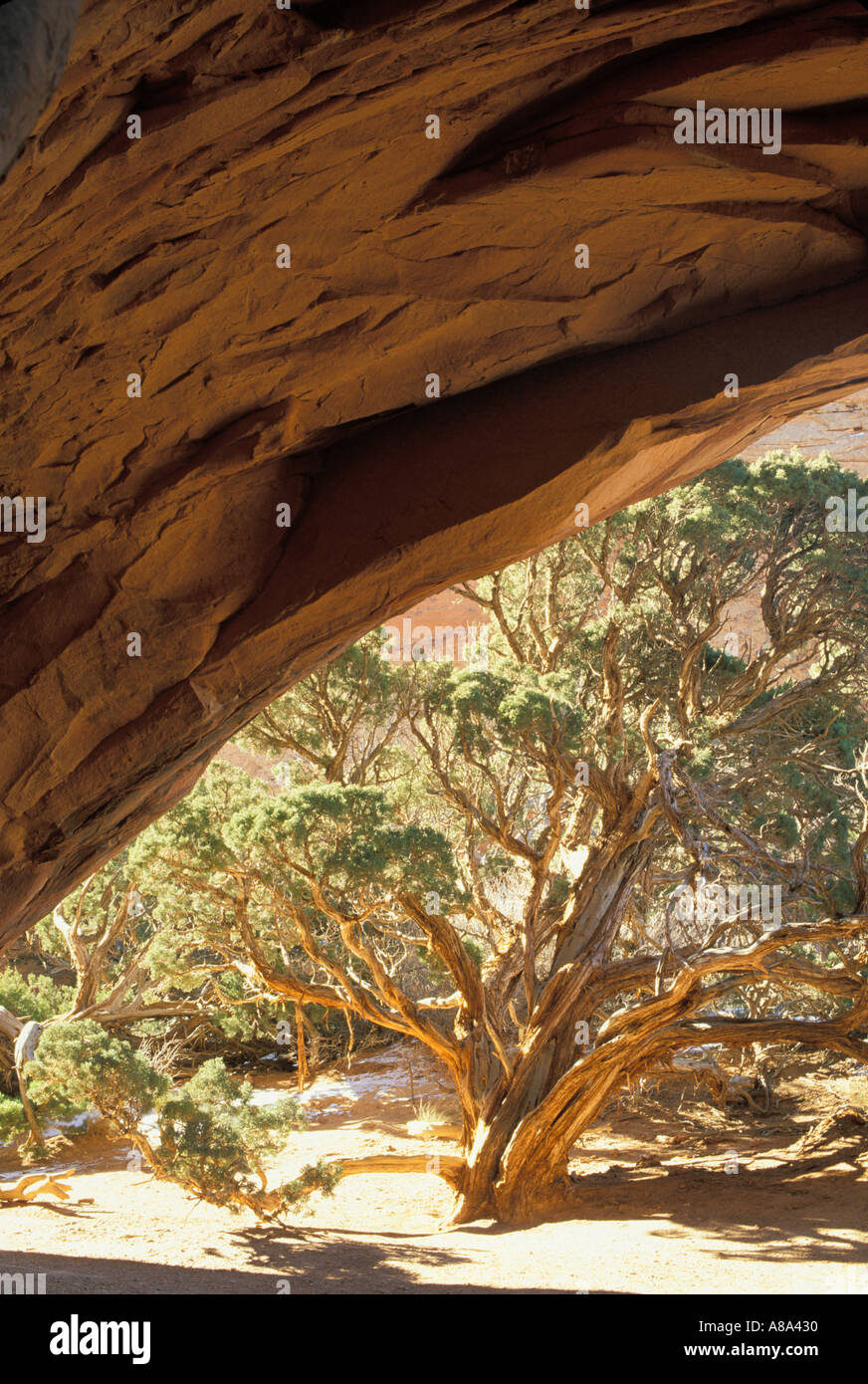 Juniper cave hi-res stock photography and images - Alamy