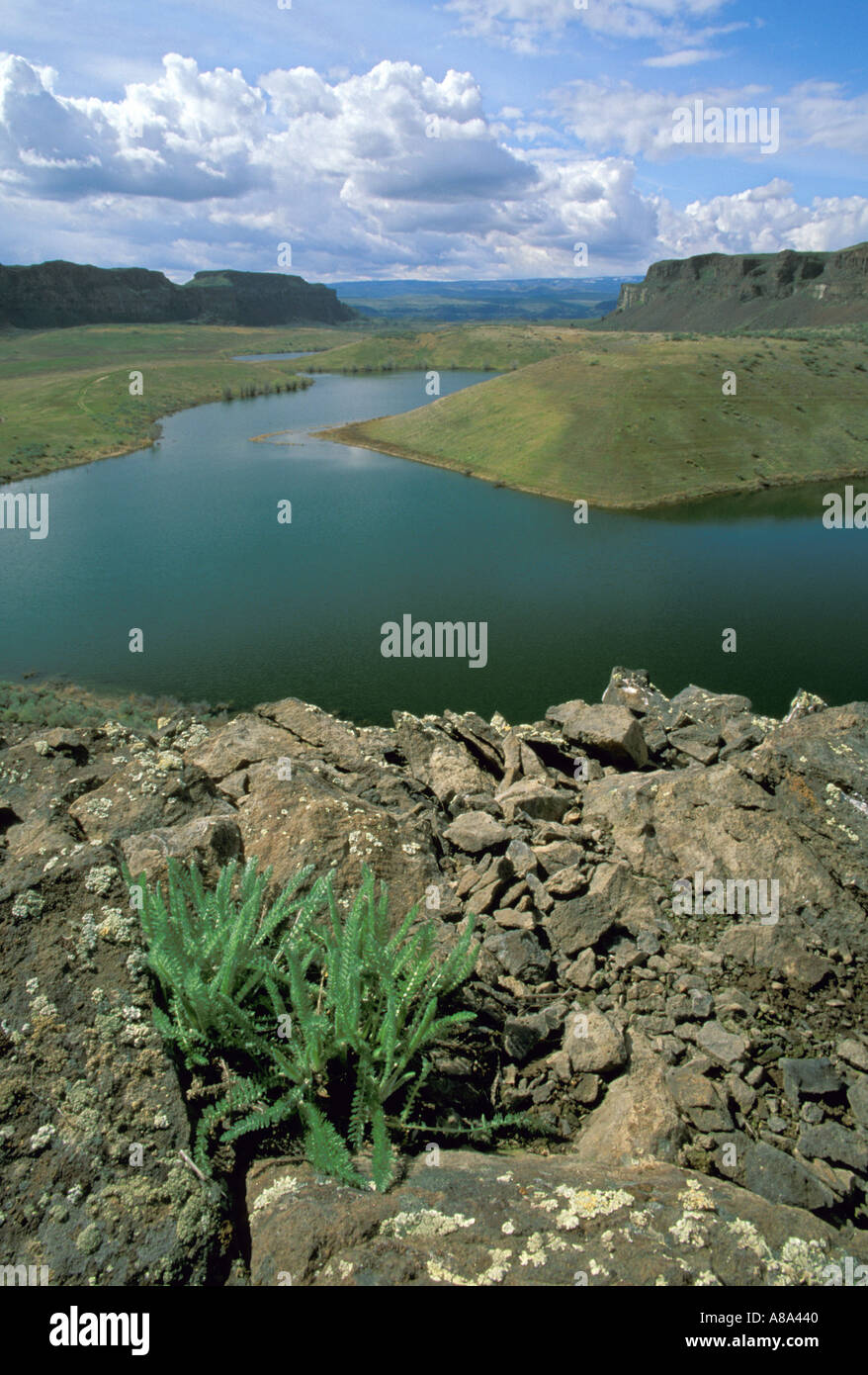 Quincy lakes hi-res stock photography and images - Alamy