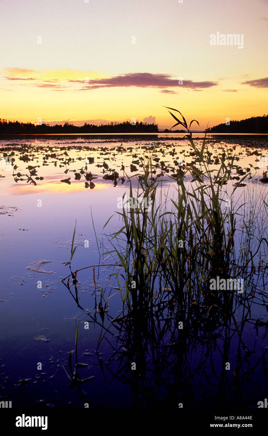 Cranberry Lake Deception Pass State Park Washington Stock Photo - Alamy