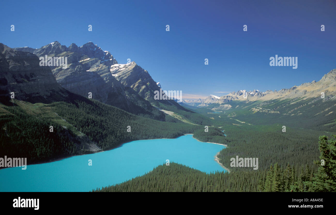 Peyto Lake and the Mistaya Valley Banff National Park Alberta Stock ...