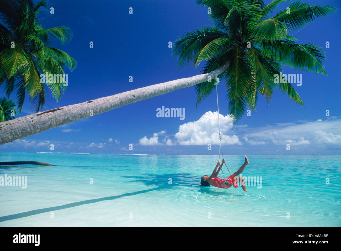 Woman lying under the tree hi-res stock photography and images - Alamy