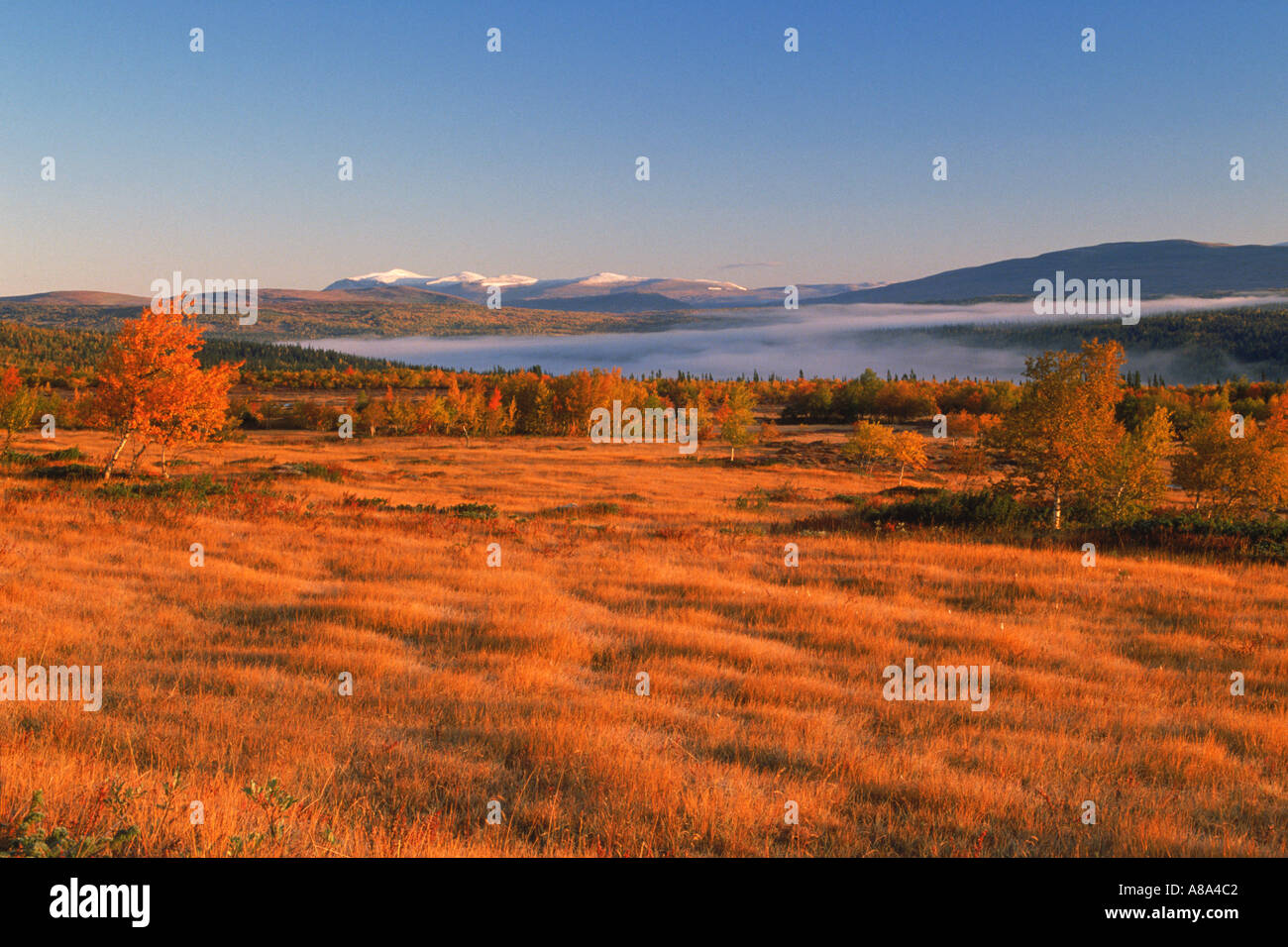 Sweden härjedalen mountains hi-res stock photography and images - Alamy