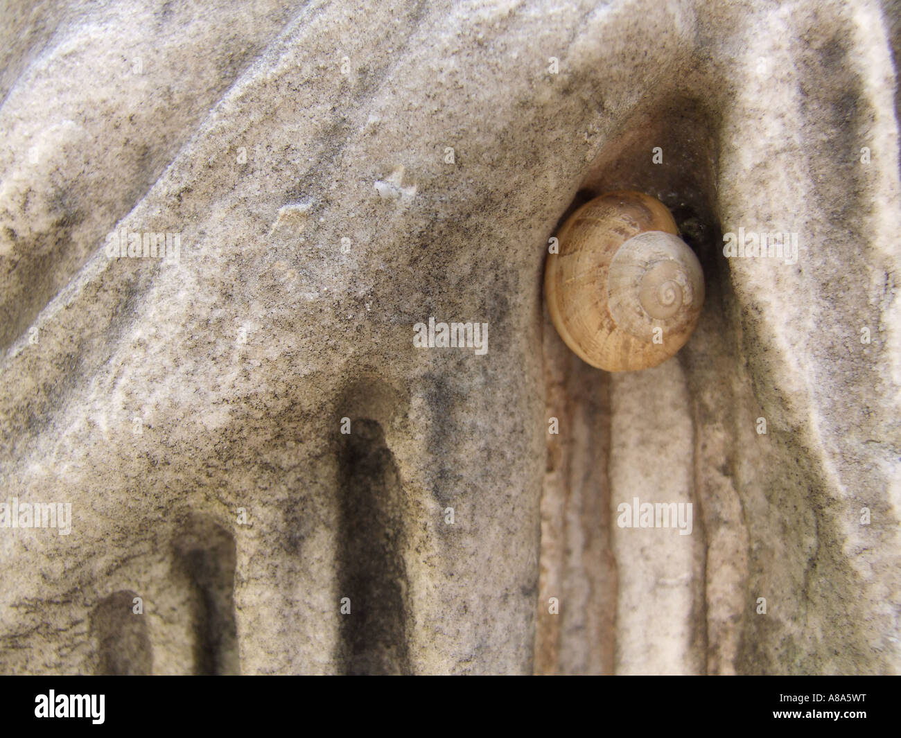 snail on ancient roman statue Stock Photo - Alamy