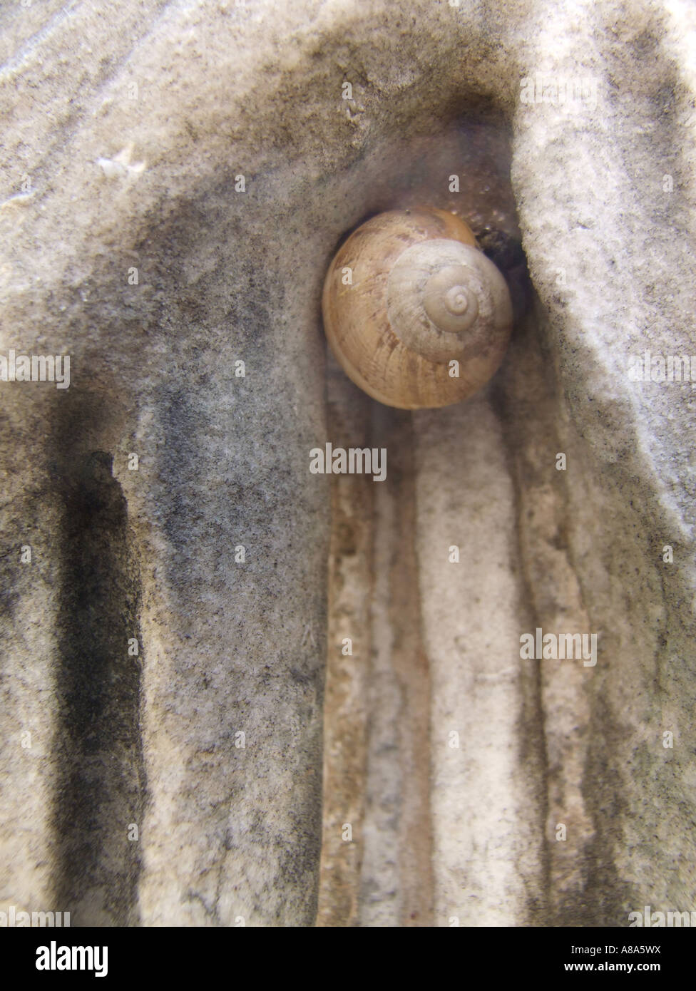 snail on ancient roman statue Stock Photo - Alamy