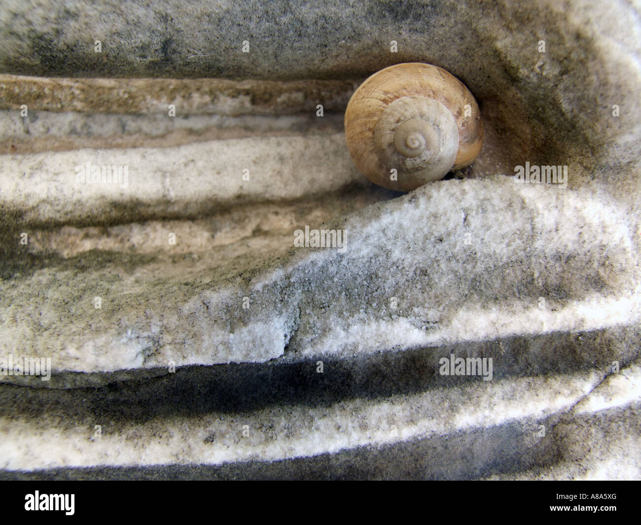 snail on ancient roman statue Stock Photo - Alamy