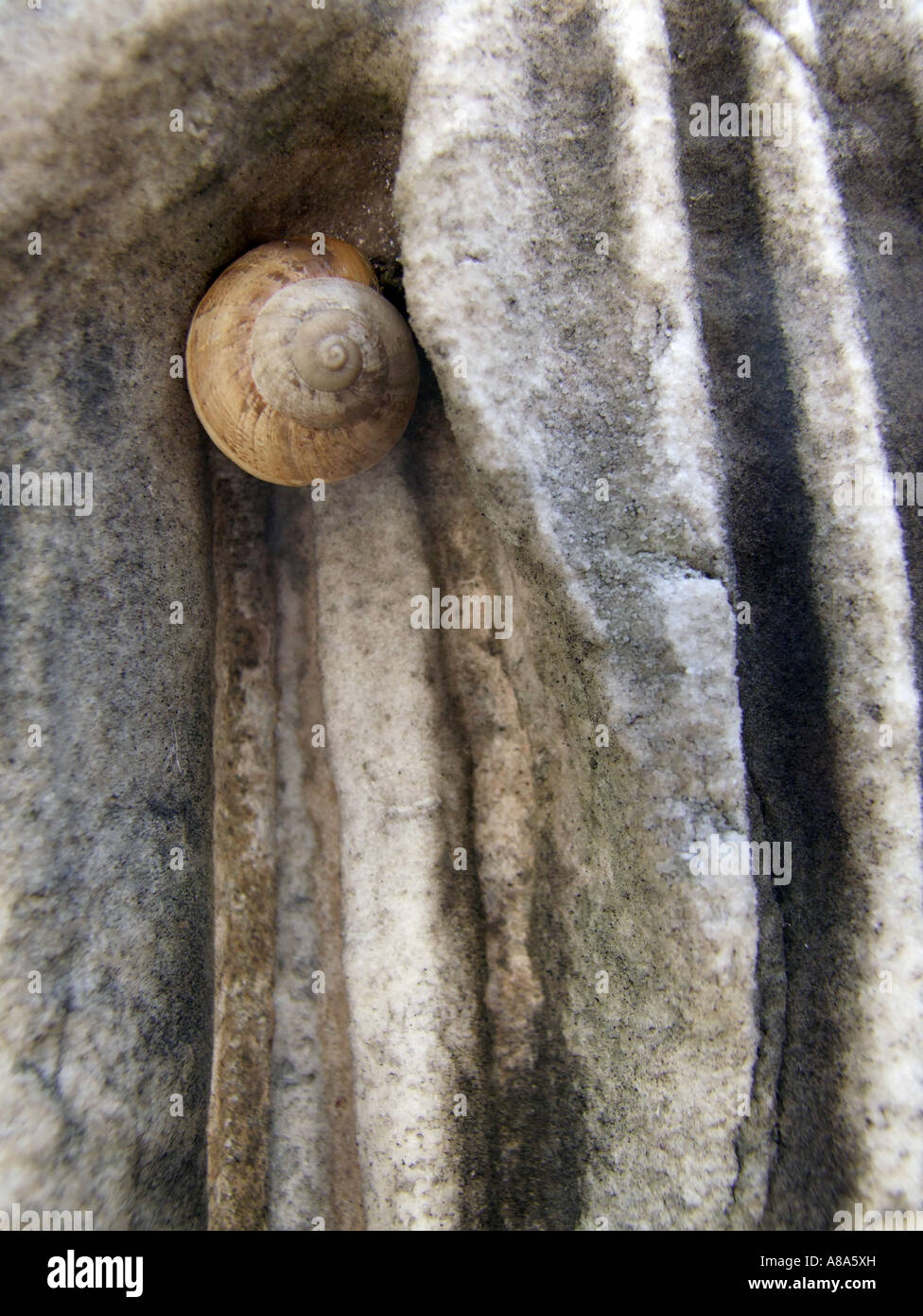 snail on ancient roman statue Stock Photo - Alamy