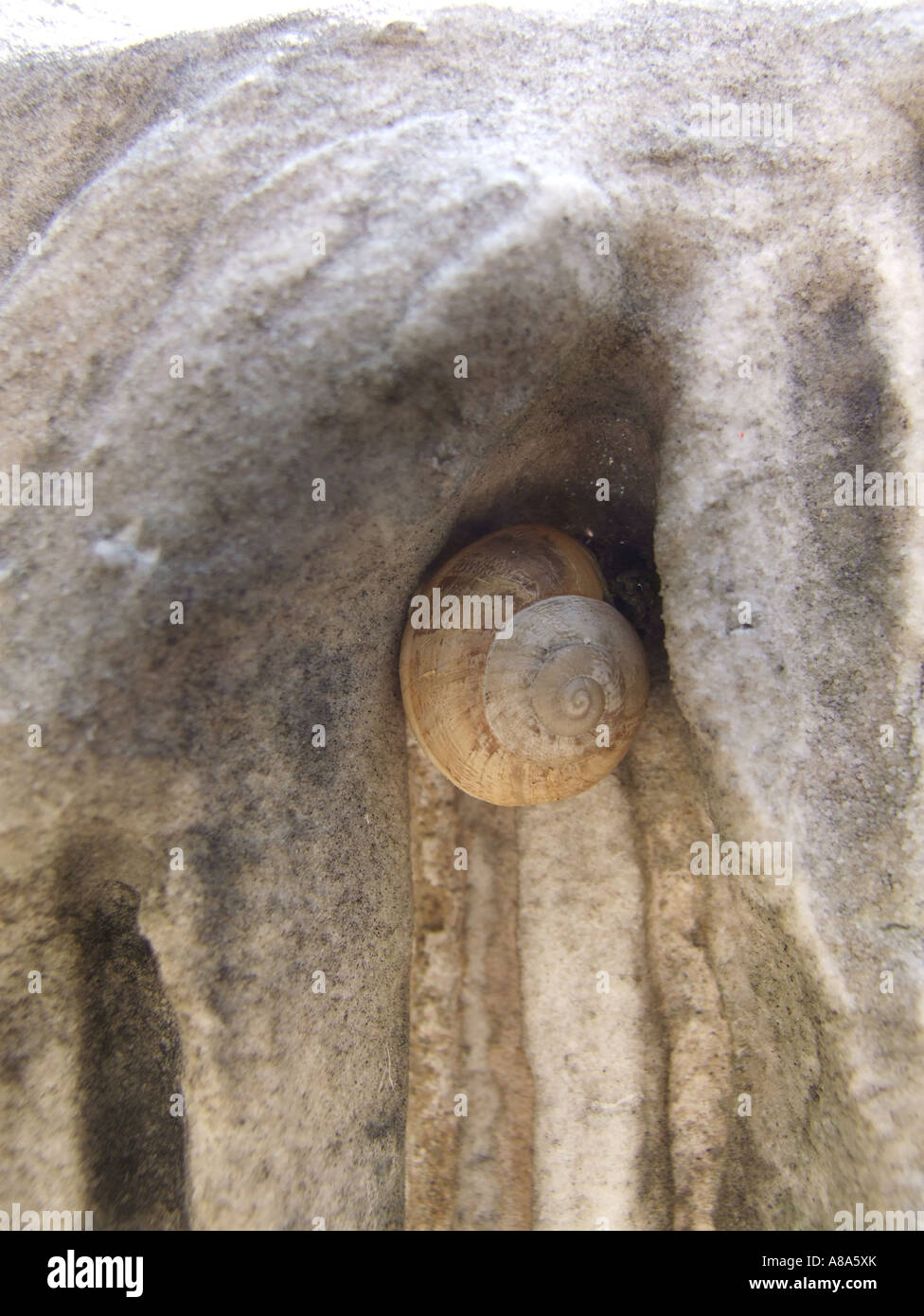 snail on ancient roman statue Stock Photo - Alamy