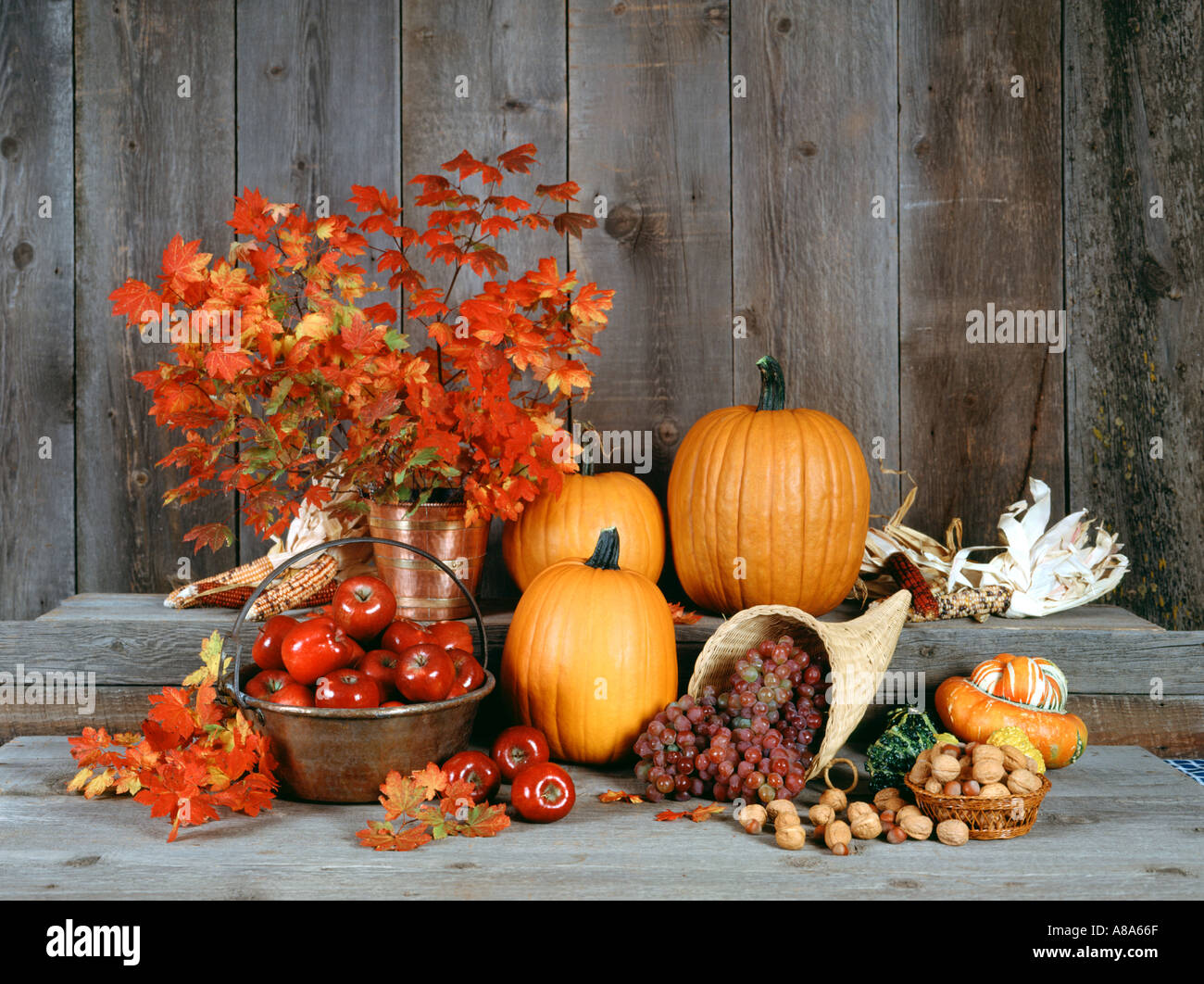 Fall harvest against old wood background Stock Photo - Alamy
