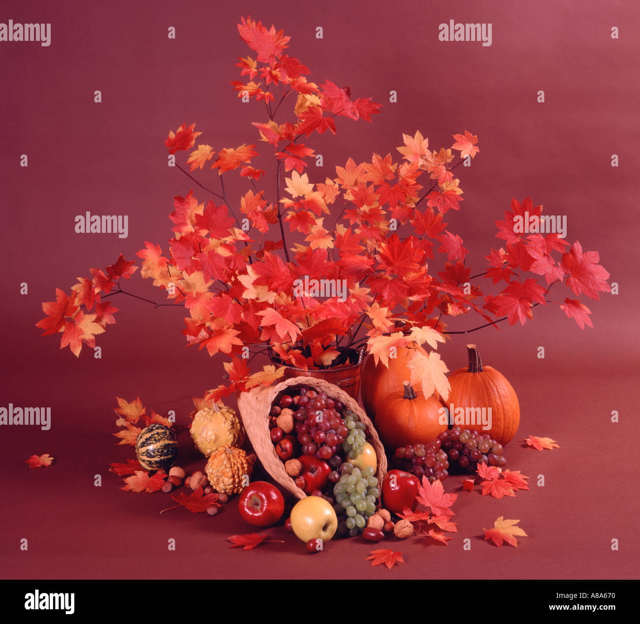 Fall cornucopia hi-res stock photography and images - Alamy