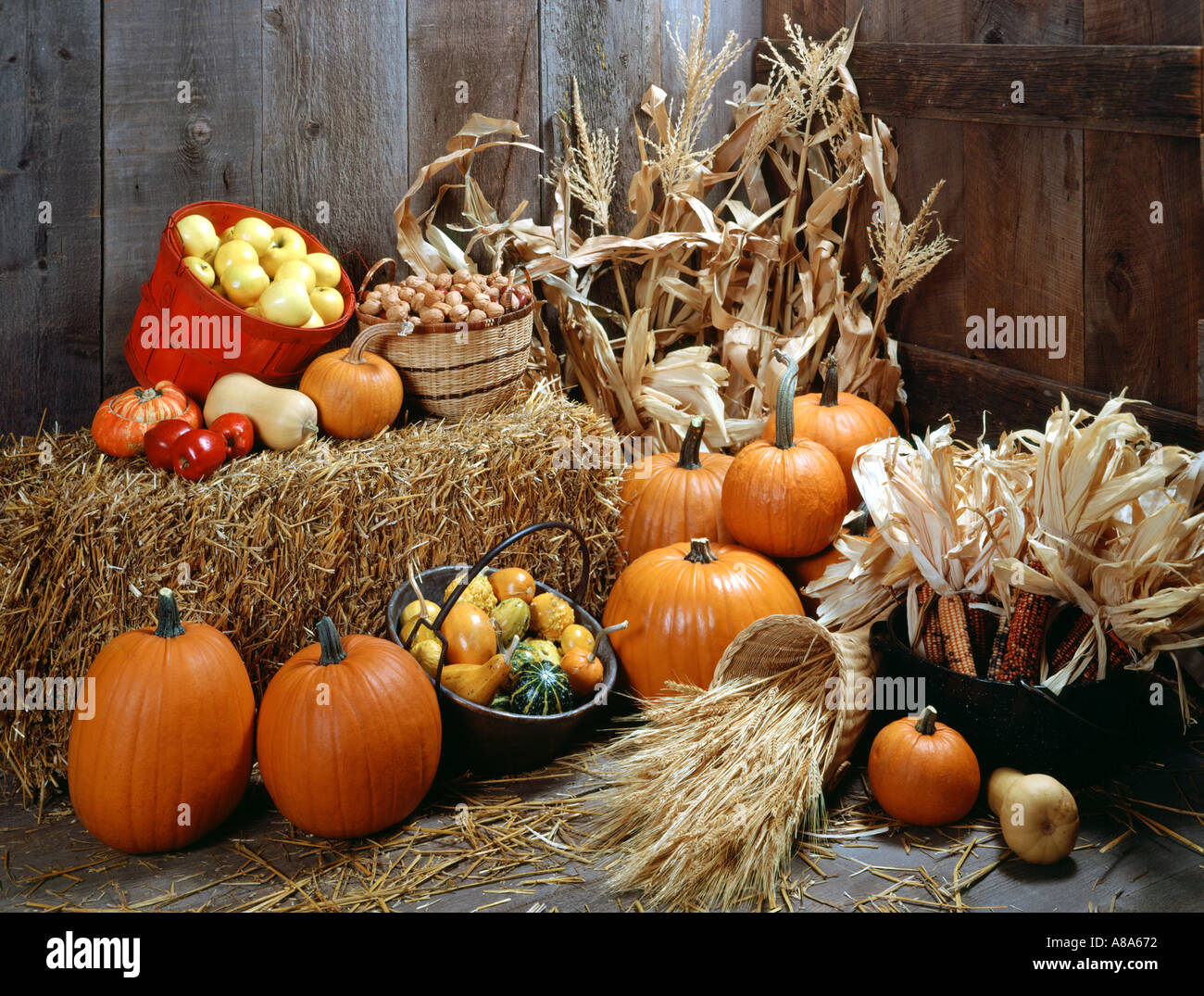 Fall Harvest Still Life with bale of Hay and old wood background Stock ...