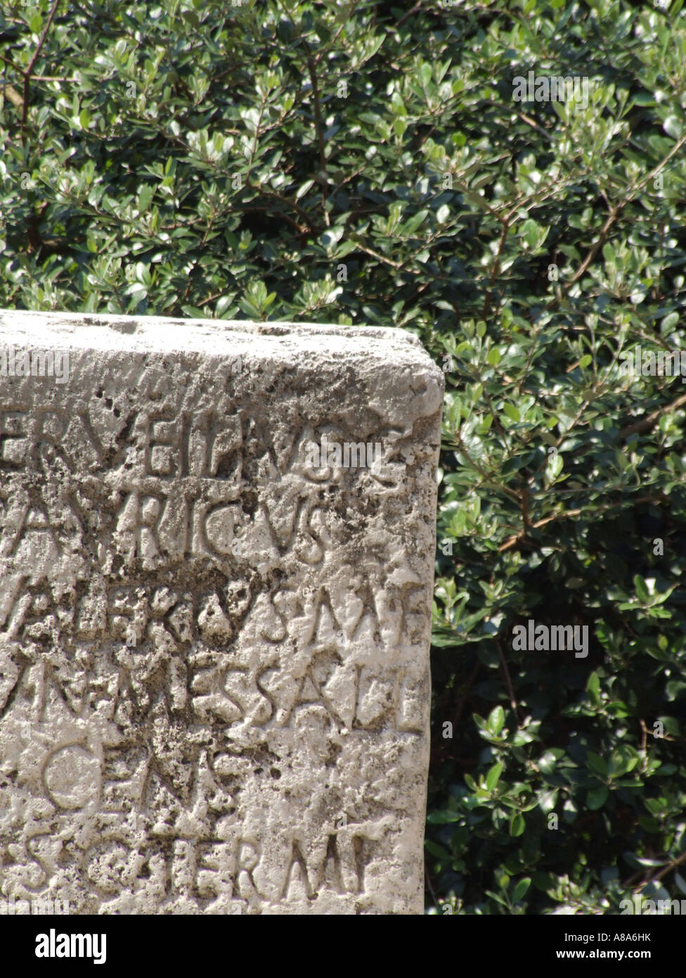 latin inscription at the diocletian baths museum in rome Stock Photo ...