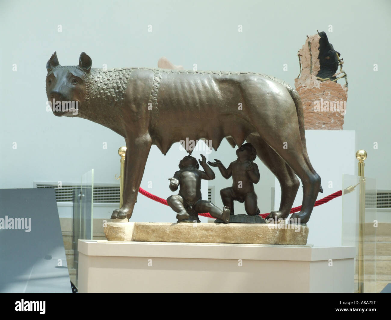 romulus and remus statue at the musei capitolini museum in rome Stock ...