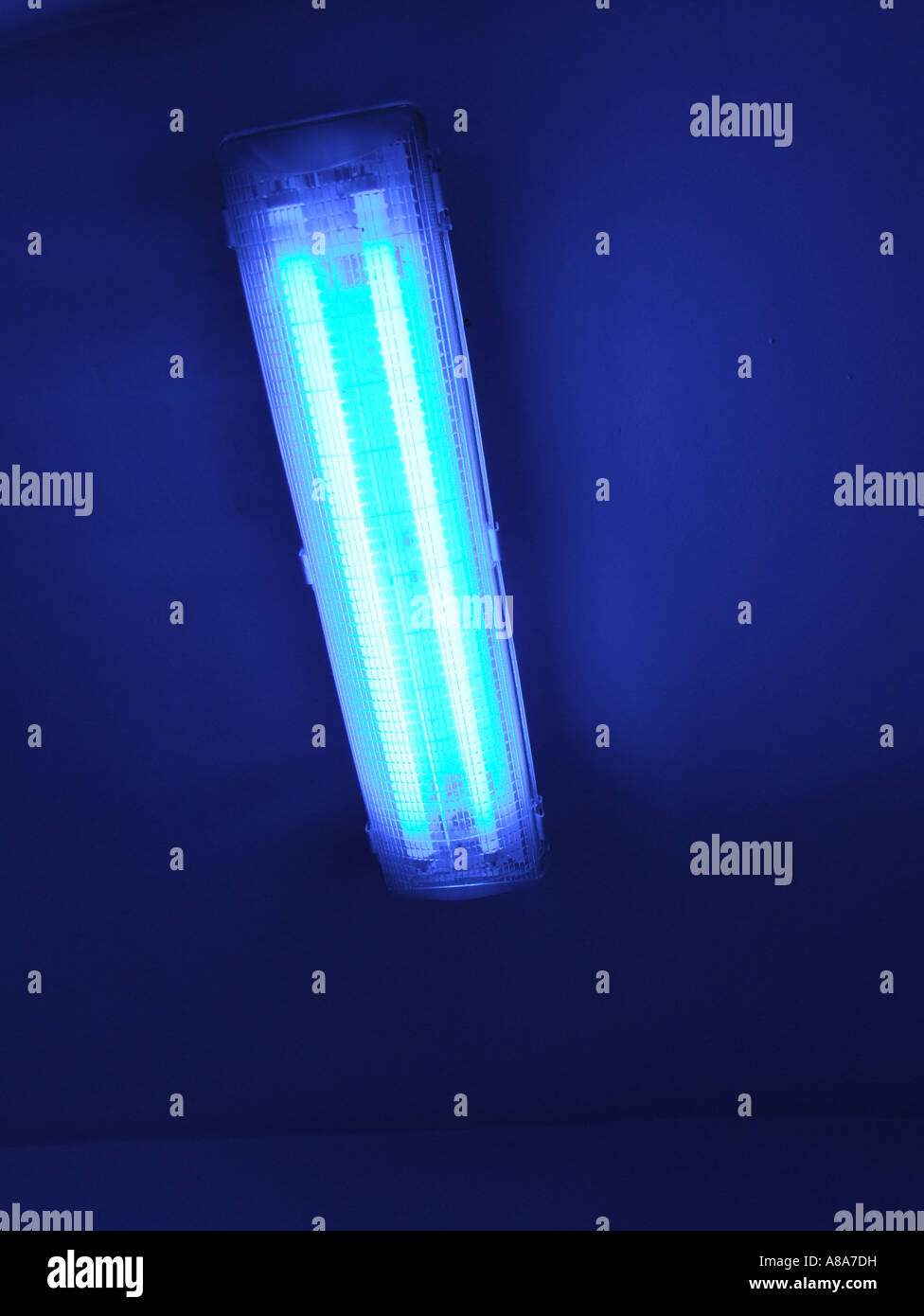 blue strip light in room Stock Photo - Alamy