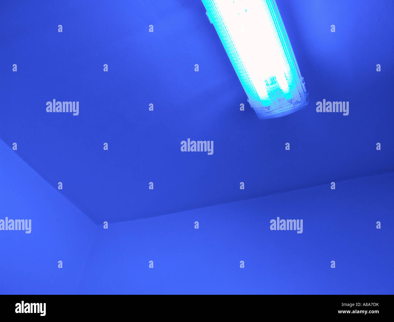 blue strip light in room Stock Photo - Alamy