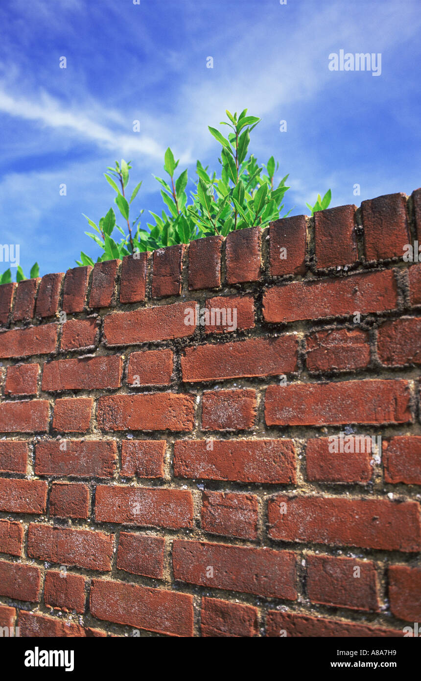 Red brick wall Stock Photo - Alamy