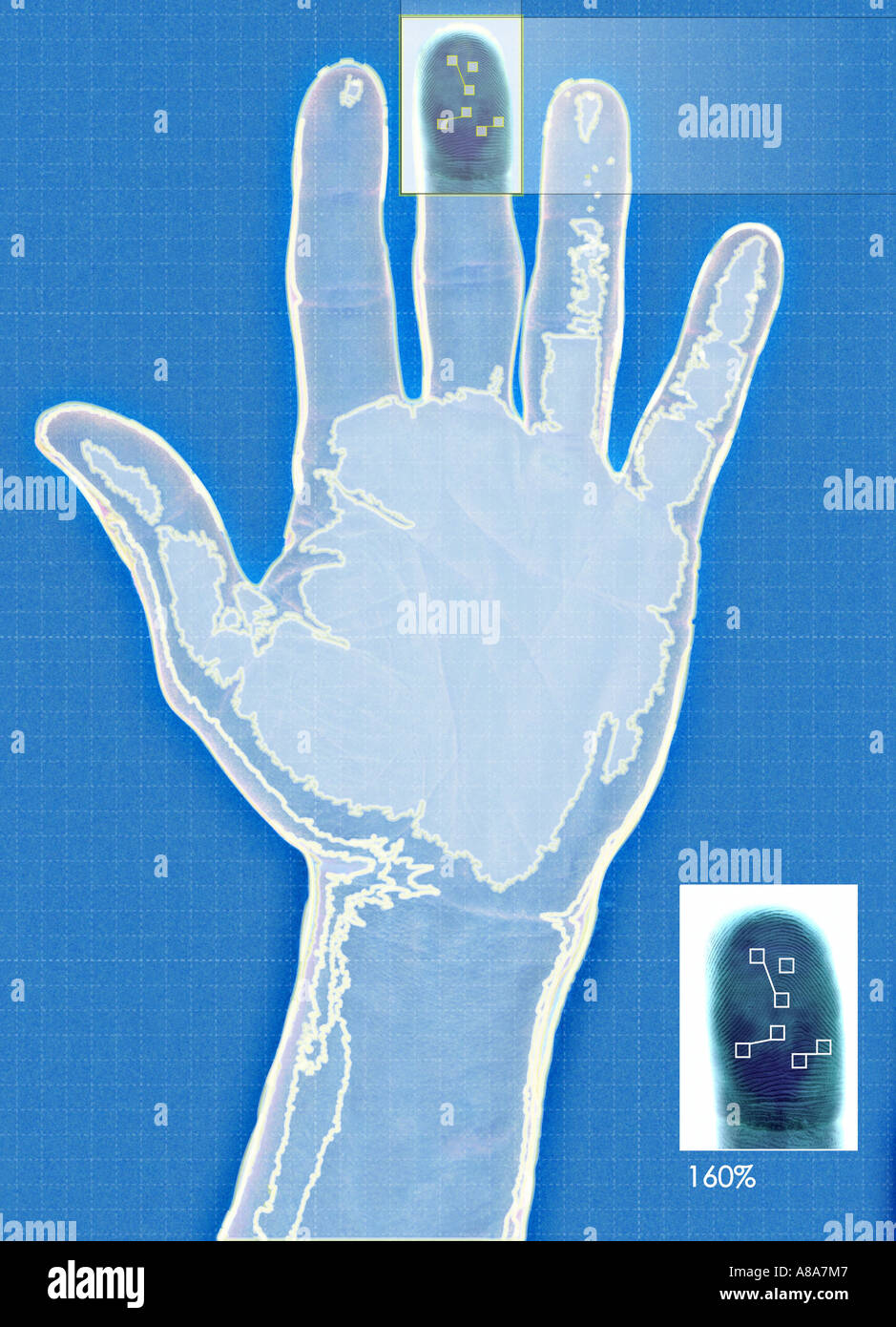 Fingerprint recognition system Stock Photo - Alamy