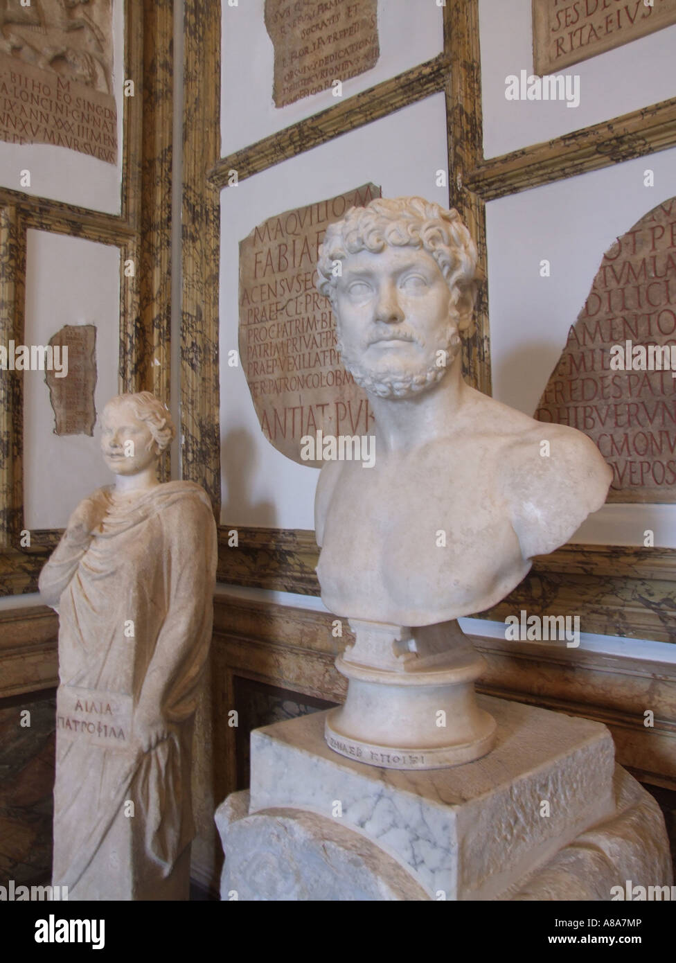statues at the musei capitolini museum in rome Stock Photo - Alamy