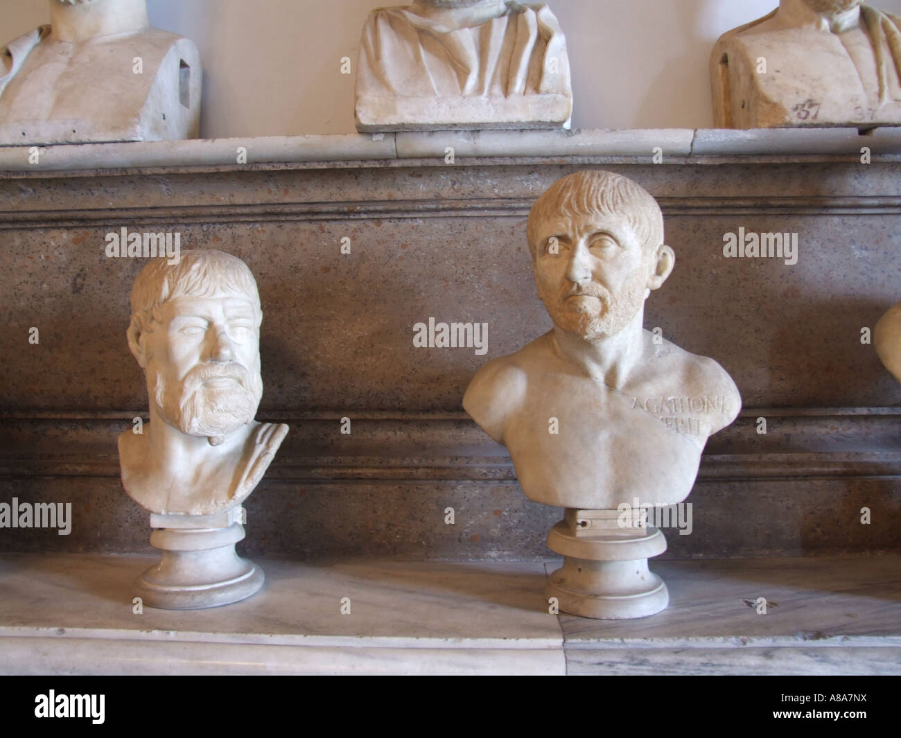 statues at the musei capitolini museum in rome Stock Photo - Alamy