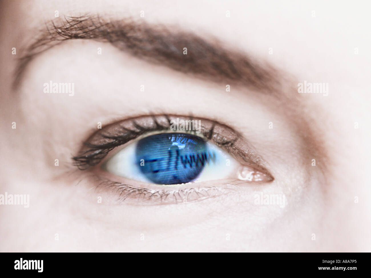 Internet in female eye Stock Photo - Alamy