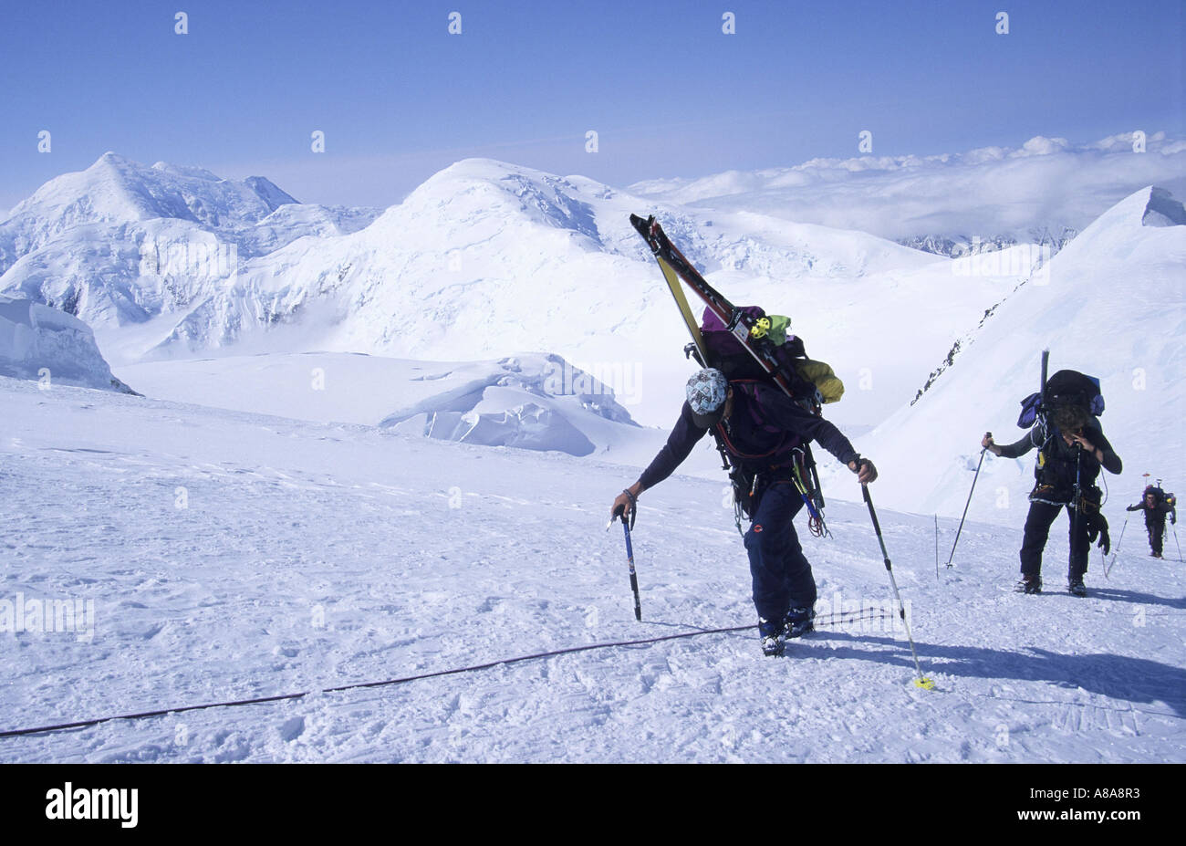 Mountaineering Denali Alaska Stock Photo - Alamy
